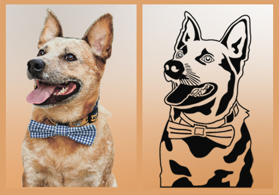 Vectorization & Conceptual Logos – Visuallizer